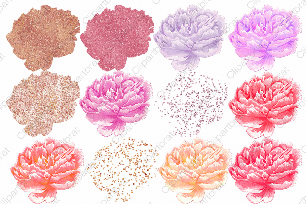 Watercolor Peony Flowers Set, an Illustration by ClipartBrat Graphics