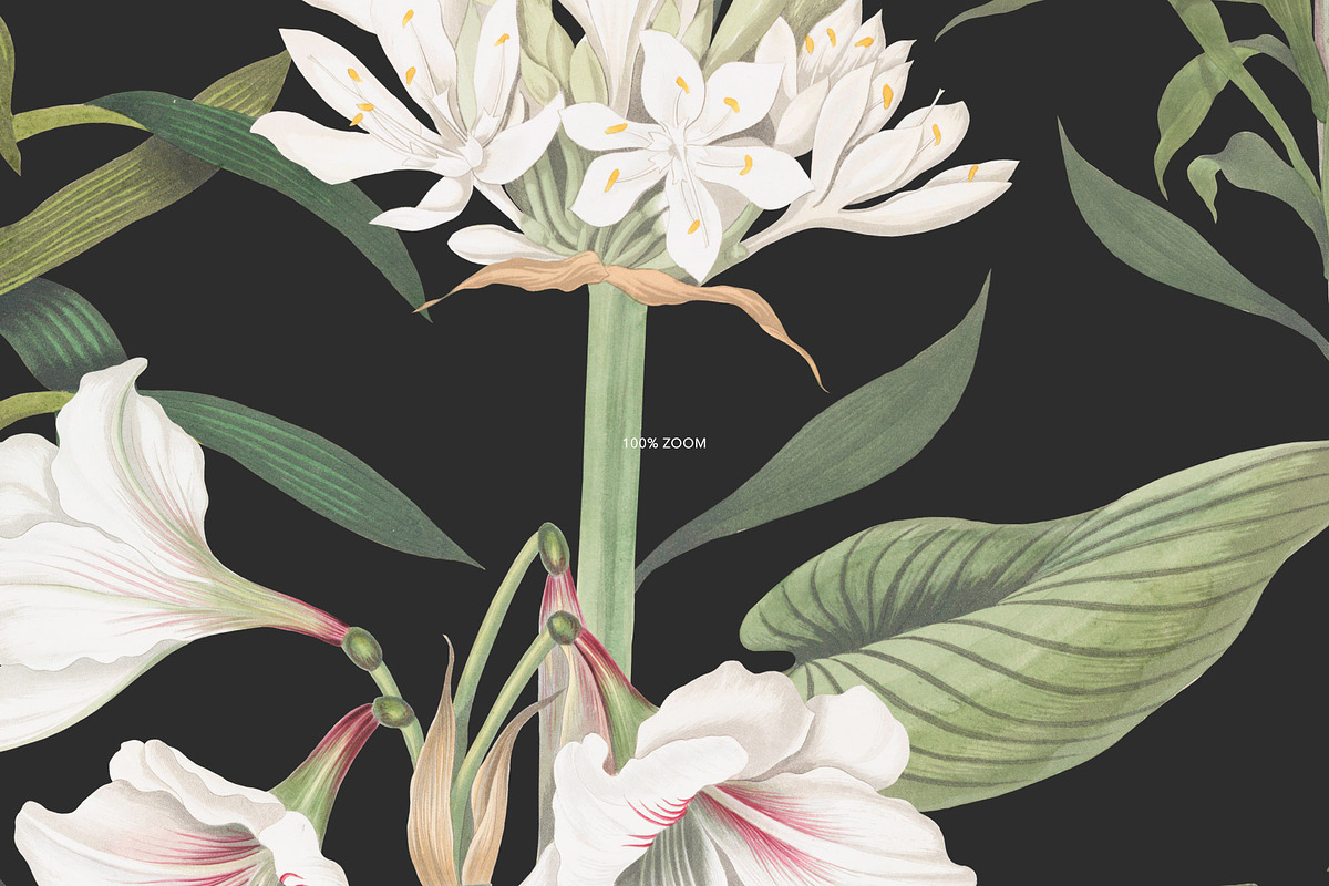 Vintage Lily English Floral Pattern, a Pattern Graphic by likorbut