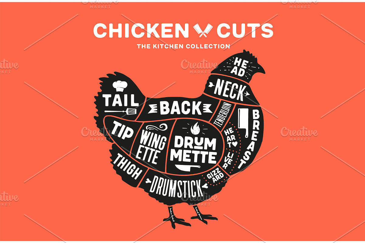 Chicken, hen. Scheme, diagram, chart, an Animal Illustration by Foxys ...