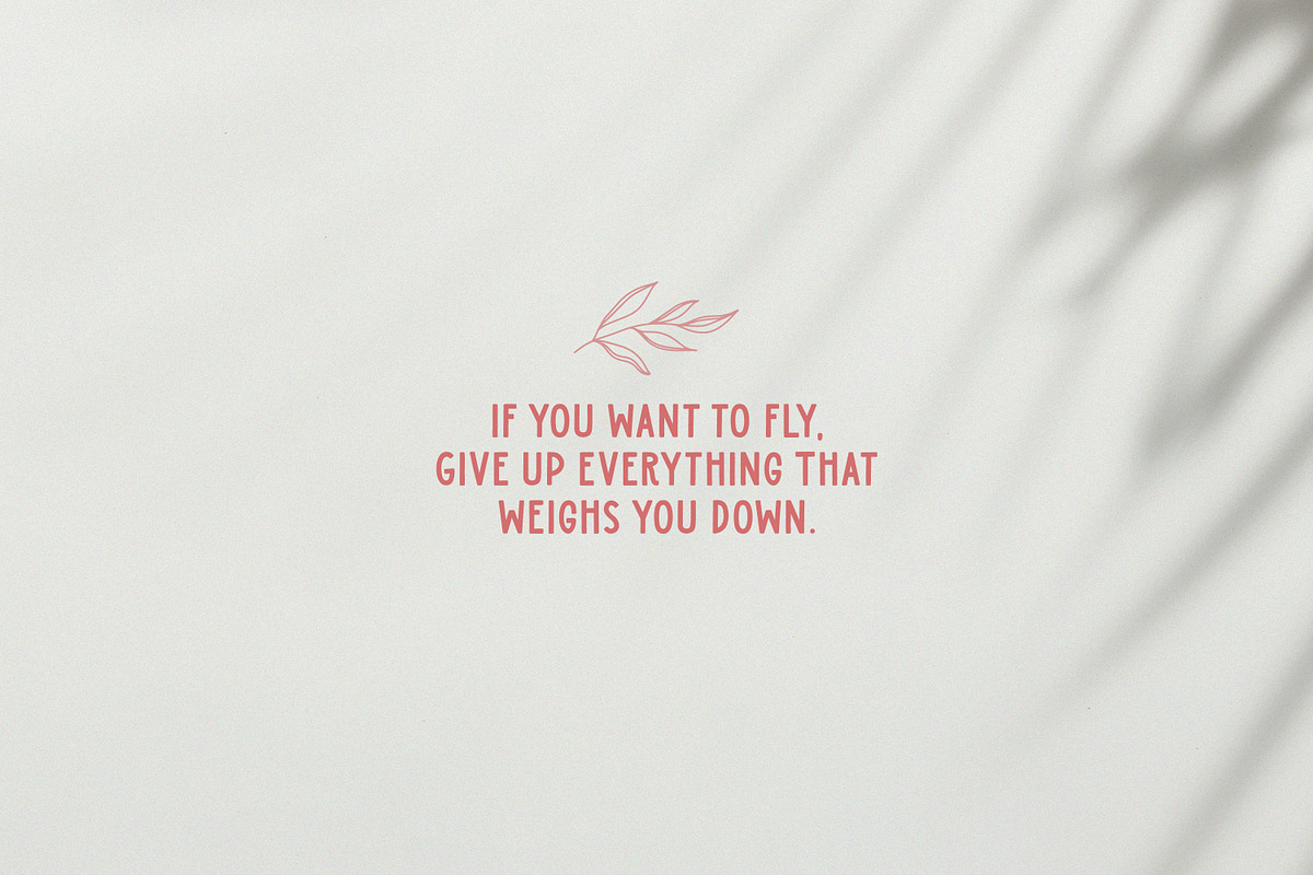 Sequoia Sans - Elegant Display Font, a Sans Serif Font by Callie Rian & Co.