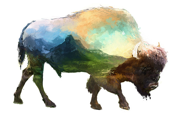 Double exposure set | Bison | Animal Illustrations ~ Creative Market