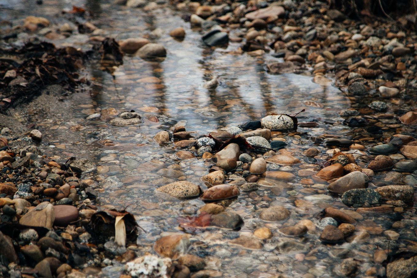 River Rocks in Gentle Stream, a Nature Photo by MarkieAnn Photography