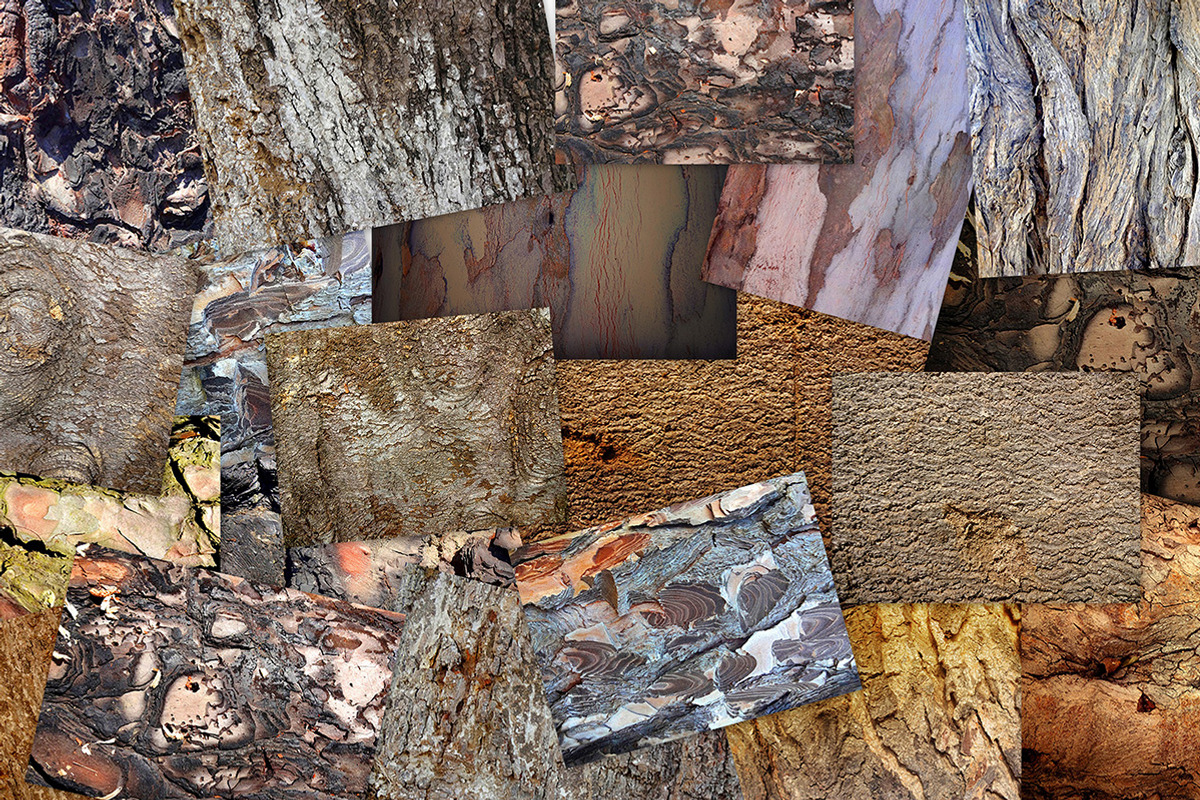20 Bark Textures Pack, a Texture Graphic by TrueMitra Designs