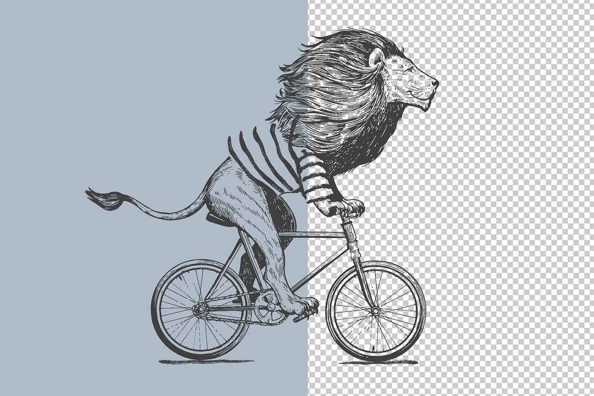 Lion Rides Bicycle. PNG, EPS, an Illustration by FoxyImage