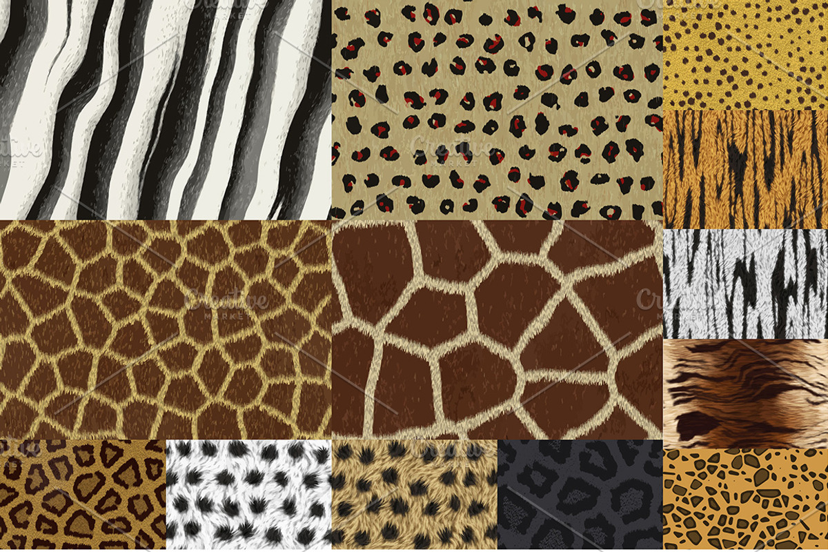 Vector animal fur textures, a Background Graphic by dotstudio