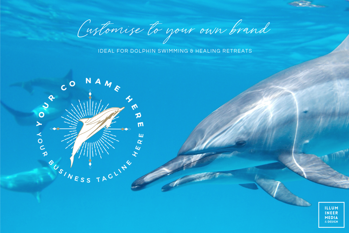 Dolphin Logo Vectors & Foil Overlays, a Branding & Logo Template by ...