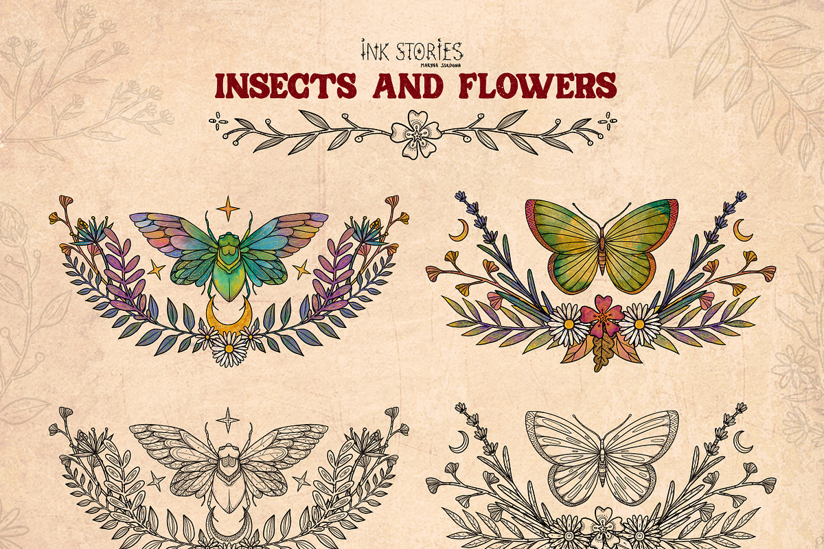 Insects and Flowers, an Animal Illustration by Ink Stories