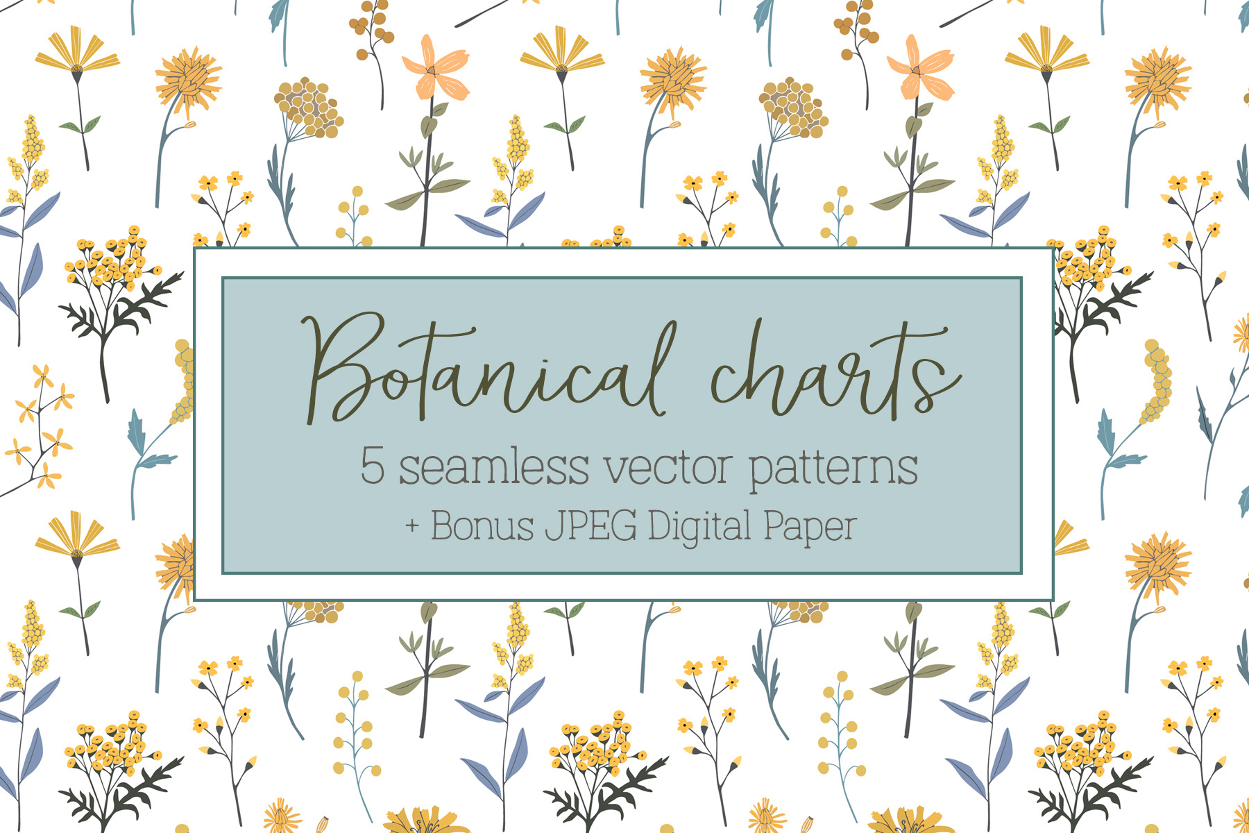 Botanical Charts seamless patterns, a Pattern Graphic by Katie Lisker