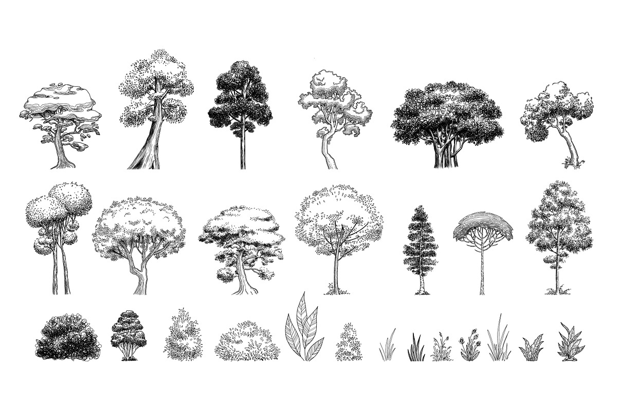Plant forest tree set hand drawn, an Illustration by RoMashkaVector