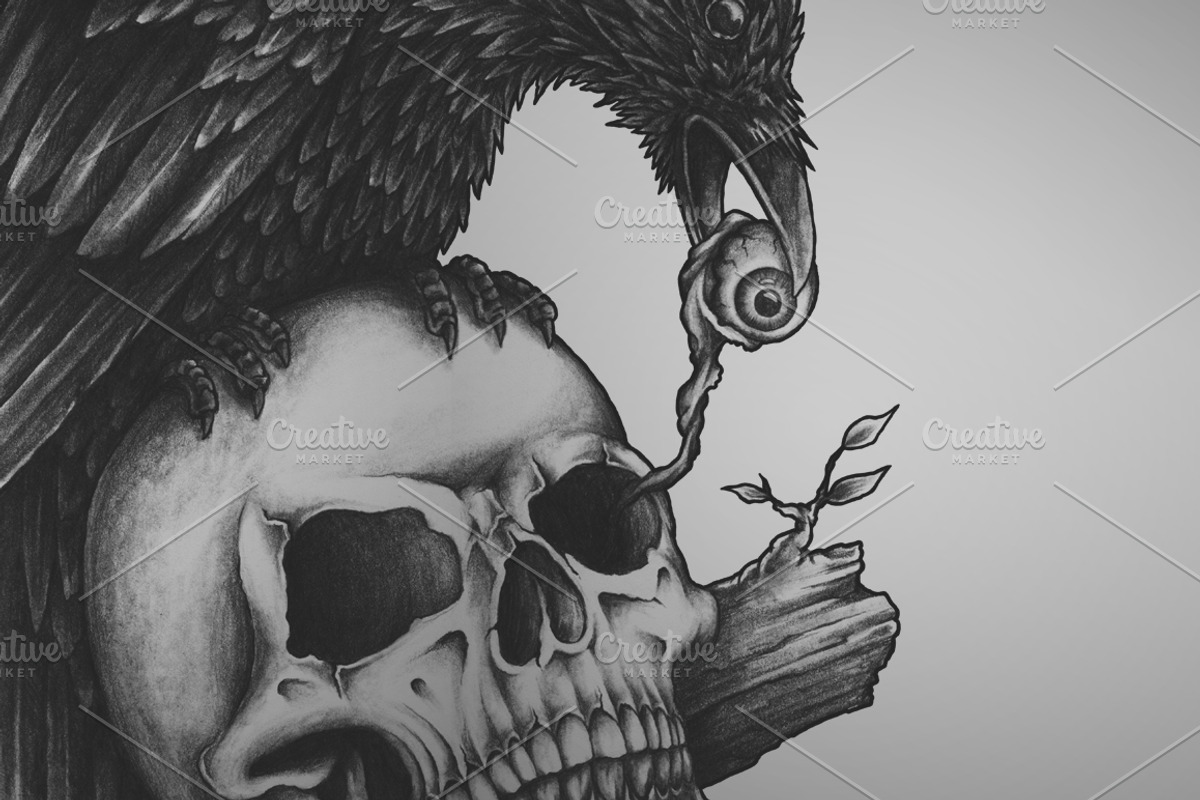 Skull Crow, an Illustration by TSV Art Collective