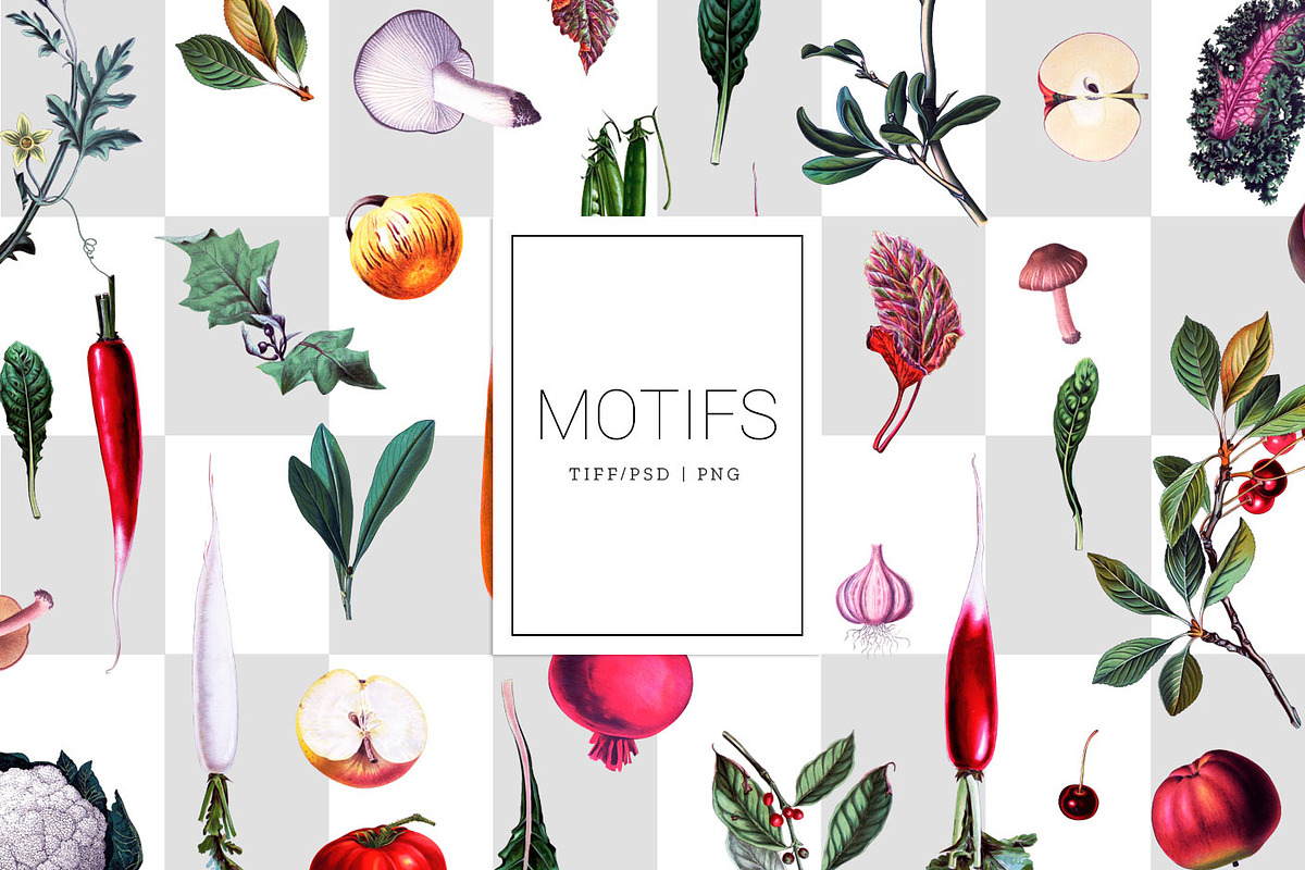 Fresh, Vegetables, Fruits & more!, a Pattern Graphic by TSTUDIO
