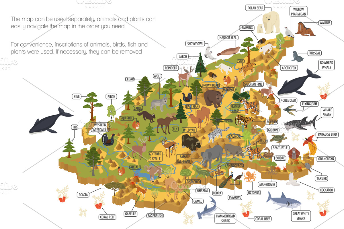 Asia isometric flora & fauna map, an Animal Illustration by pet design shop