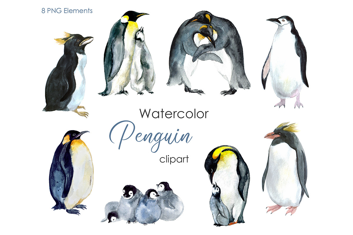 Watercolor clipart Cute set penguins, an Animal Illustration by ...