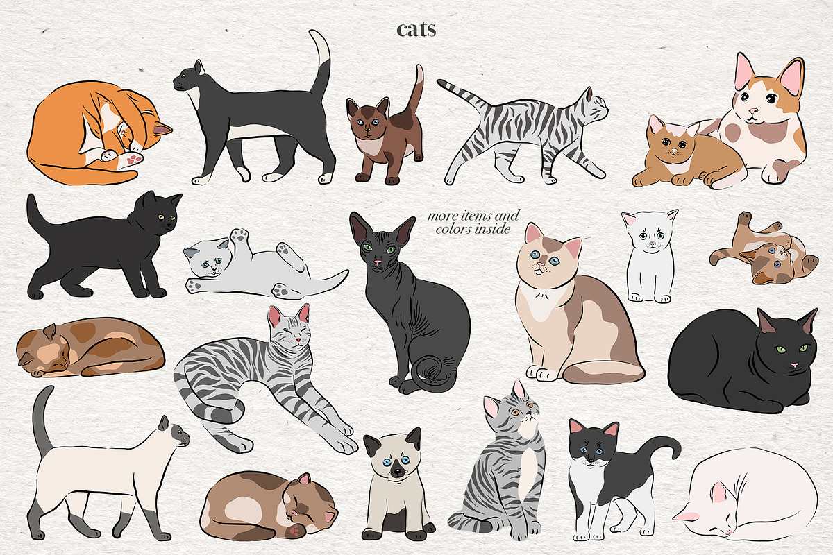 Cat Lover - Vector collection, an Animal Illustration by Alina Sh