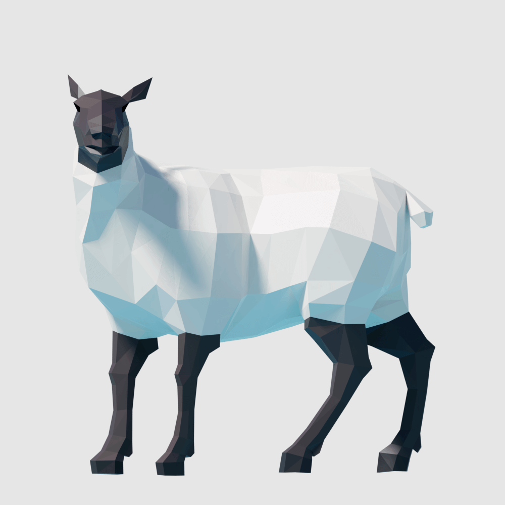 Sheep, an Animal 3D Model by Studio Ochi | Creative Market