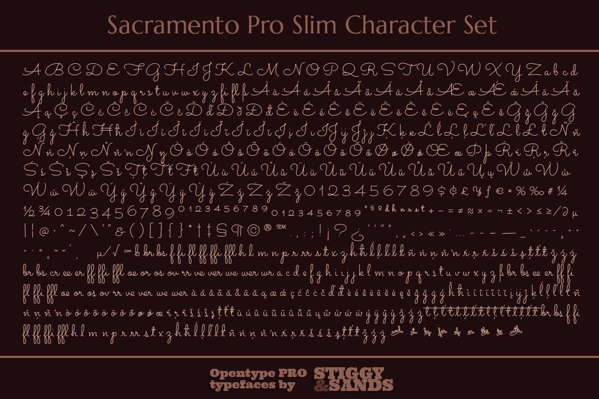 Sacramento Pro Slim, a Script Font by Stiggy & Sands