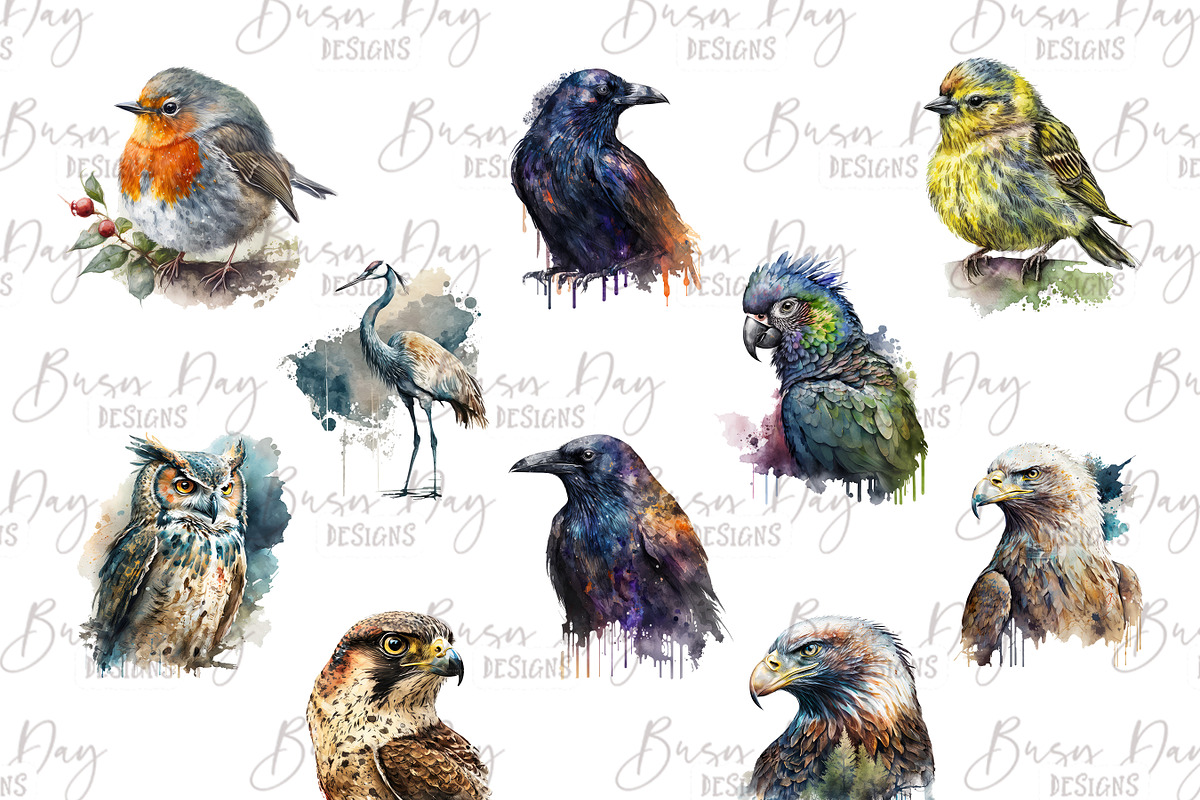 Watercolor Birds Clipart Bundle, an Animal Illustration by ...
