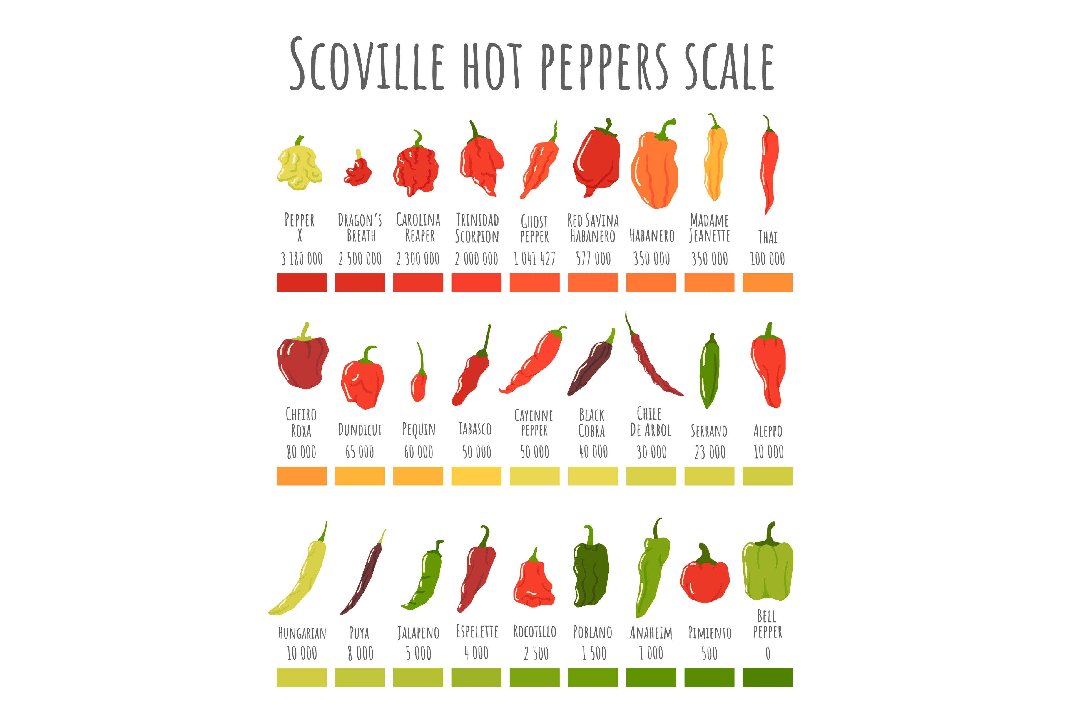 Scoville hot peppers scale. Hot, a Food Illustration by winwin.art