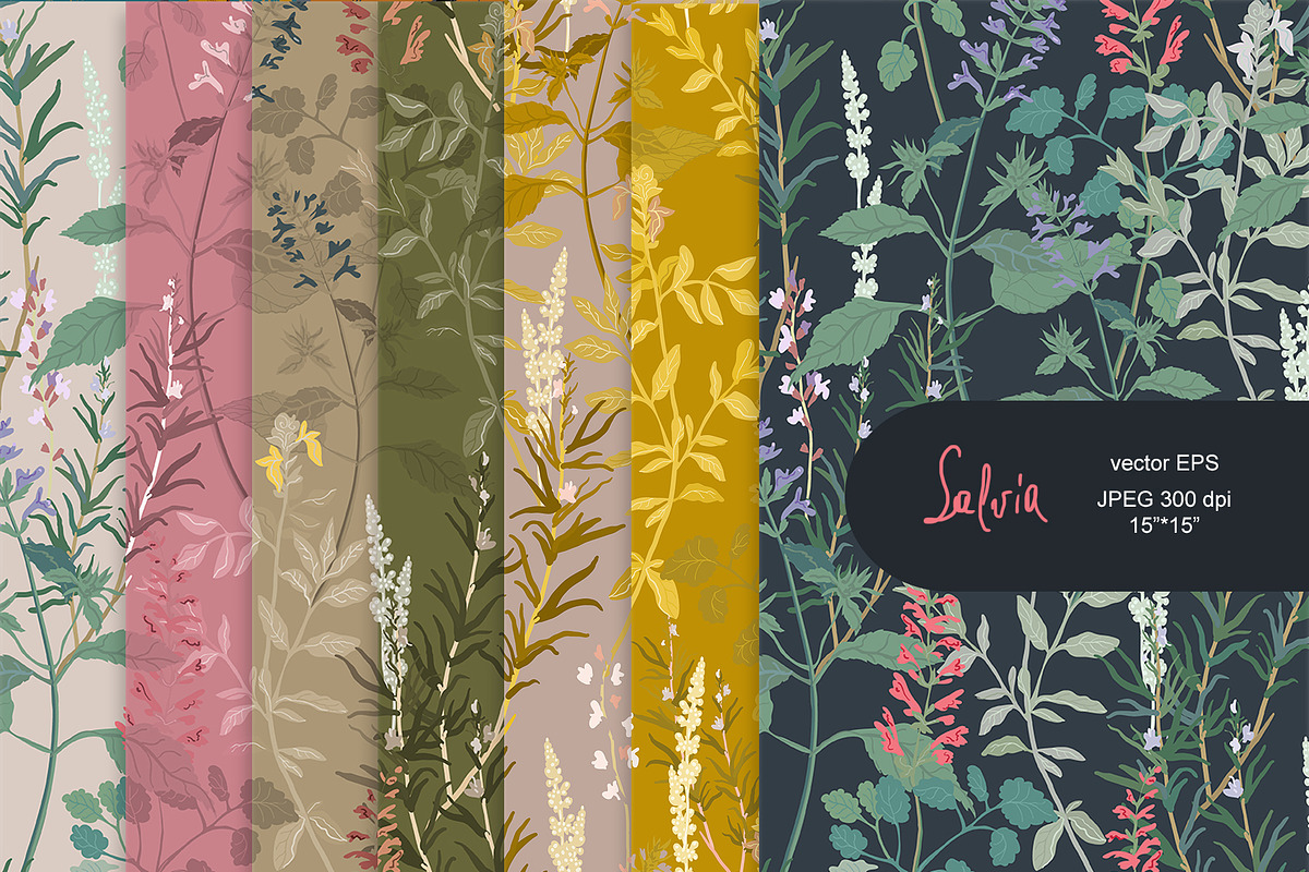 Salvia herbs seamless vector set, a Pattern Graphic by PatternsBlooming