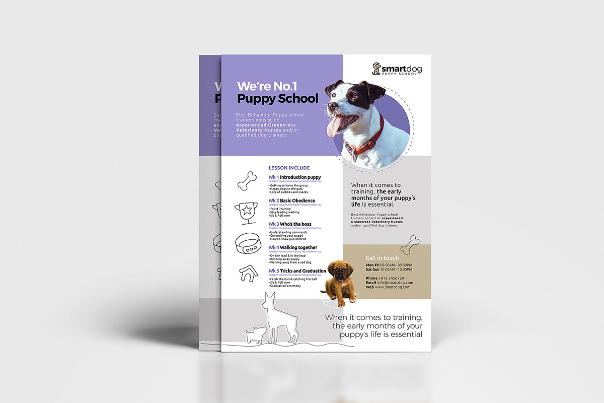 A4 Puppy School Poster Template, a Flyer Template by BrandPacks