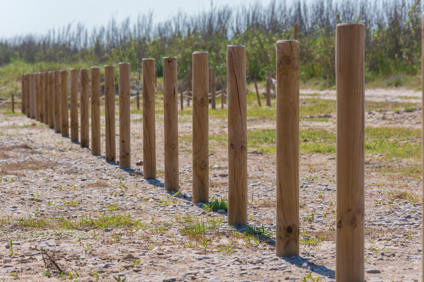 Wooden posts in a row featuring artisanal, background, and boundary ...