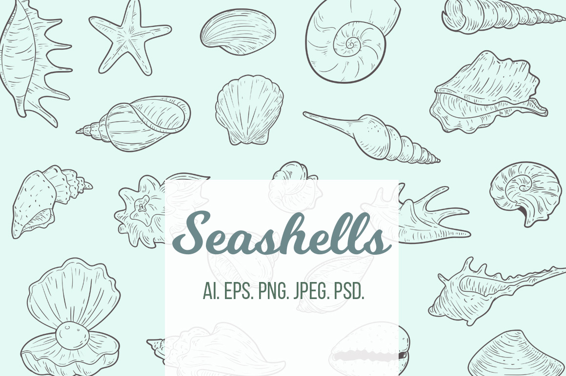 Set of hand drawn seashells, an Object Graphic by CGterminal