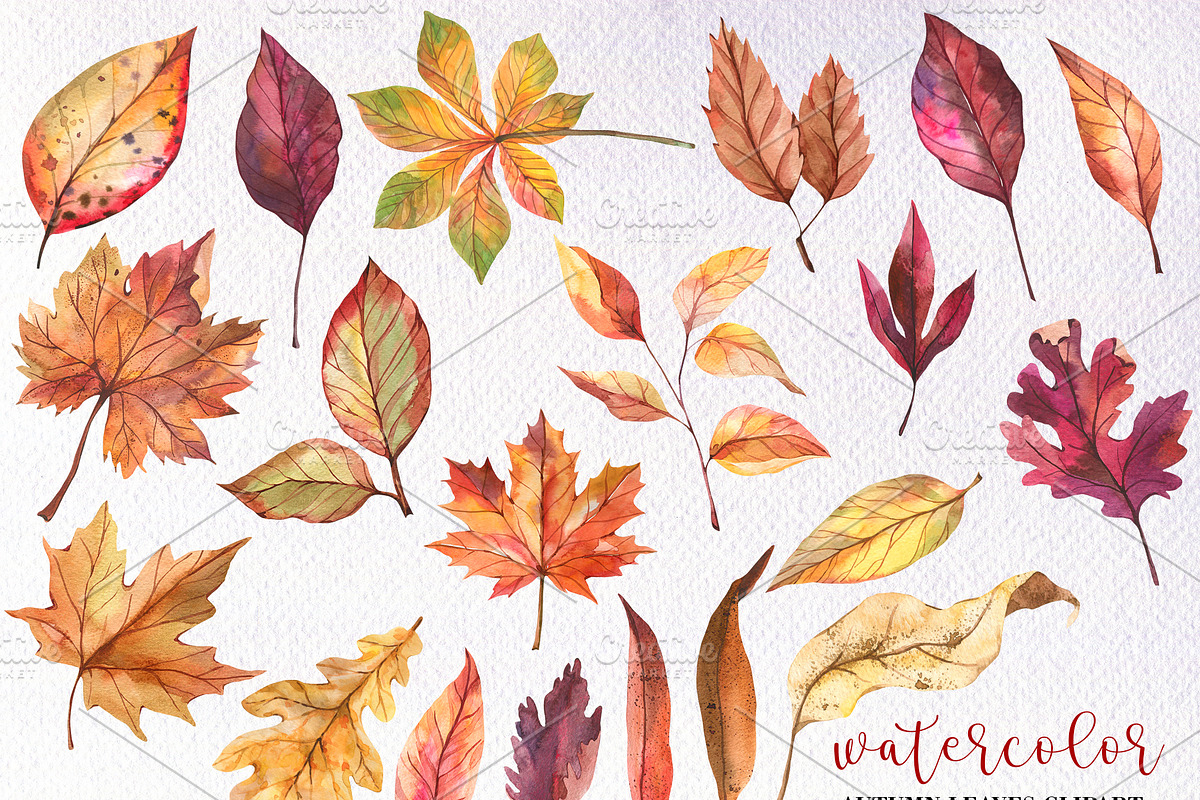 Watercolor Fall Leaves Clipart, Fall