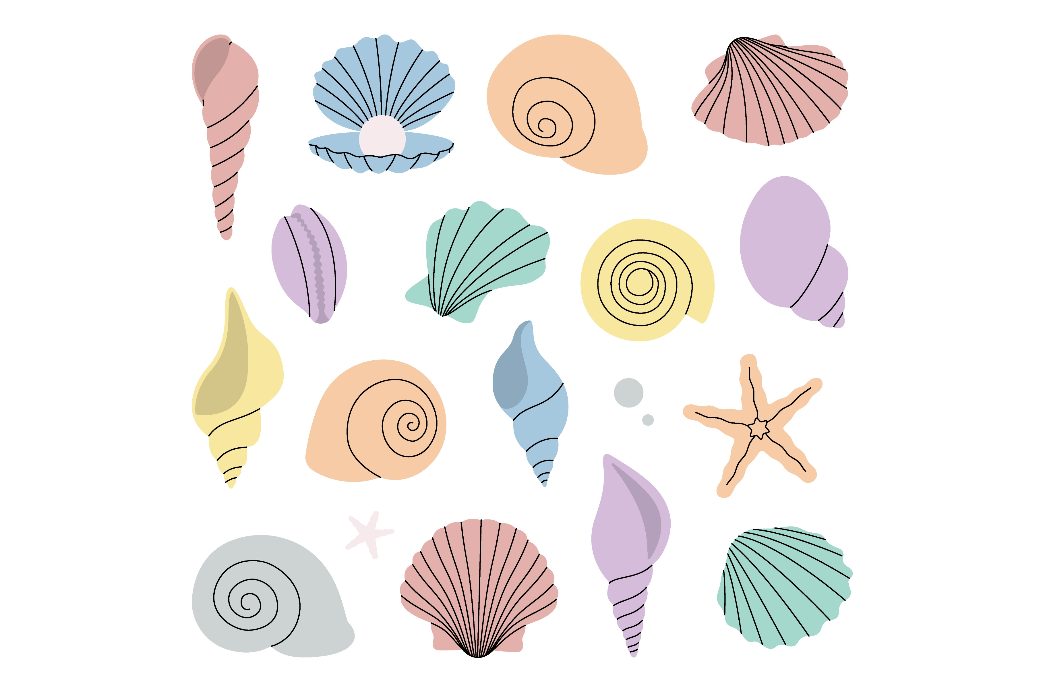 Scallop sea shells. Tropical, an Object Illustration by GraphiShop