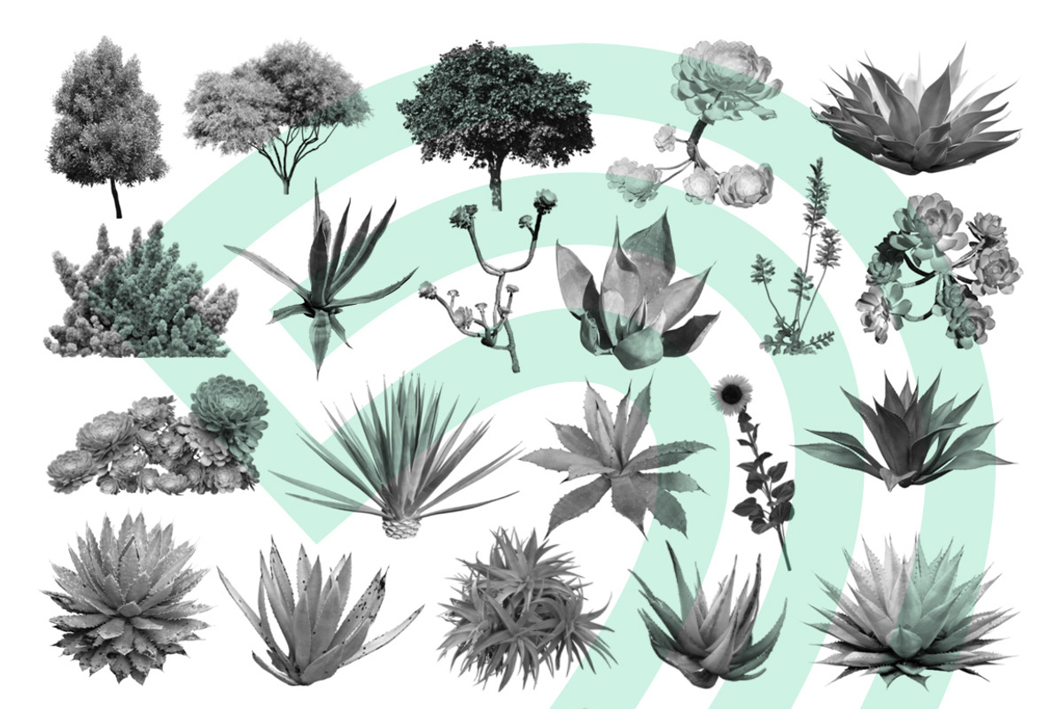 Plant Brushes v2, a Brush Add-On by envirographic