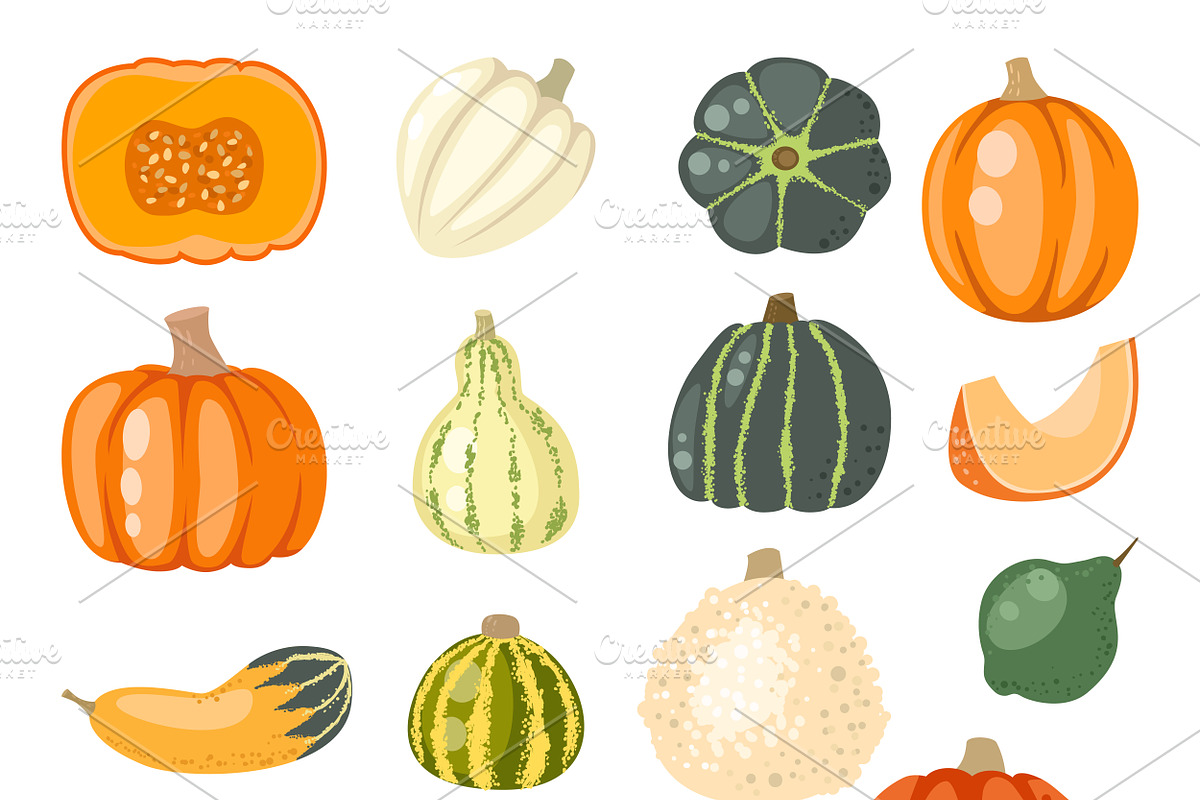 Vector pumpkin set, a Decorative Illustration by RocketArt