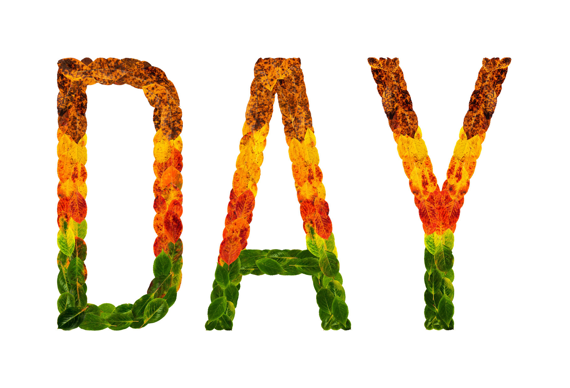 word Day written with leaves white isolated background, banner for ...