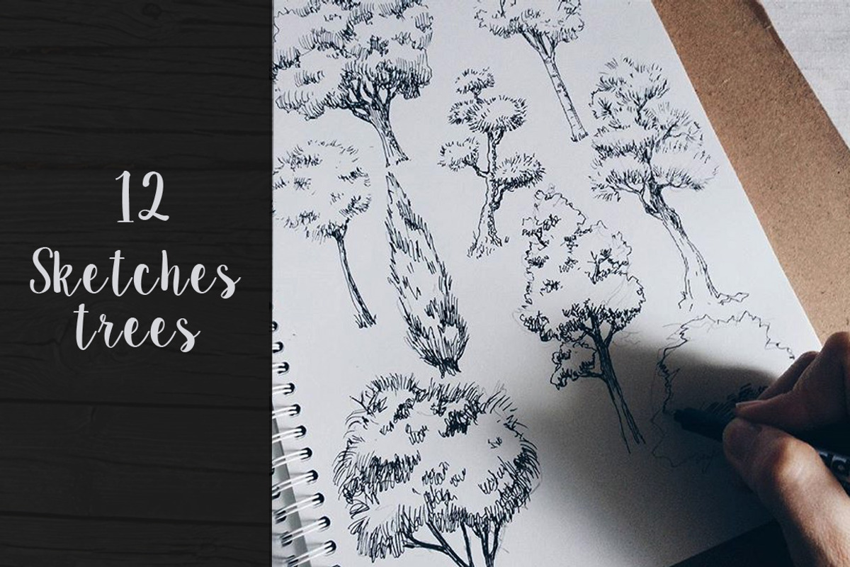 12 Vector Sketch Trees, an Object Graphic by Lembrik's Artworks