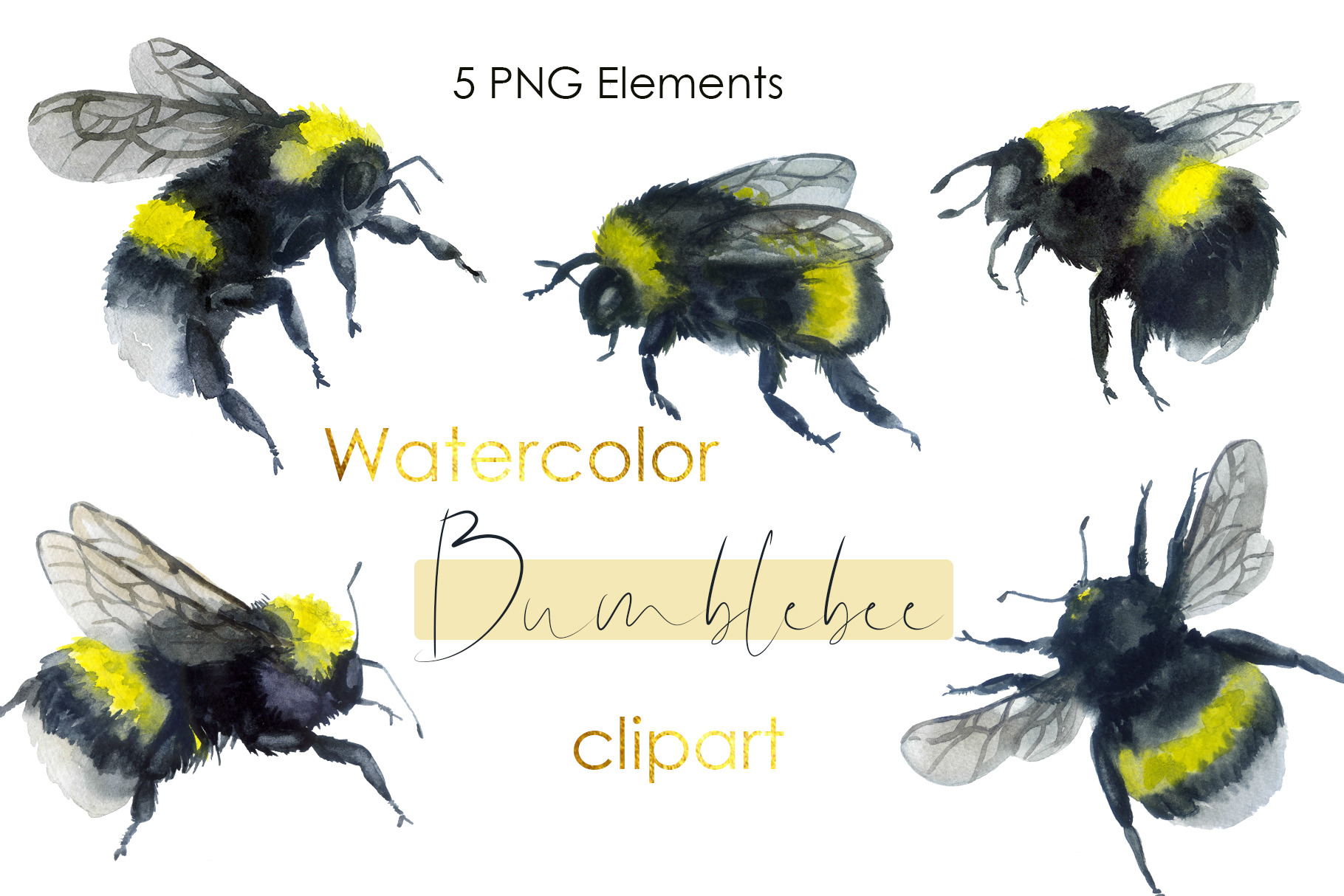 Watercolor bee Clipart. Bumble bee, an Animal Illustration by ...
