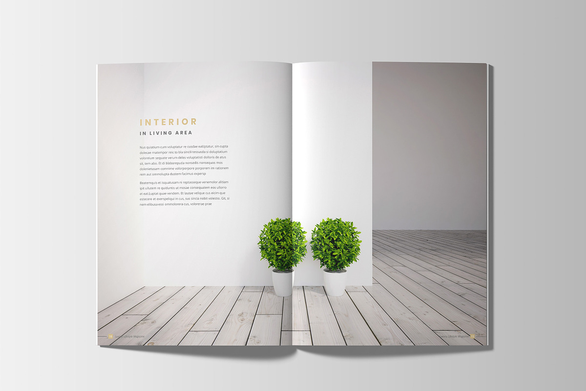 Luxury Lifestyle Magazine/LookBook, a Magazine Template by Layout Design