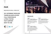 Pam – Responsive Email template, an Email Template by ThemesCode