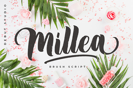 Shunda Typeface, a Script Font by Debut Studio