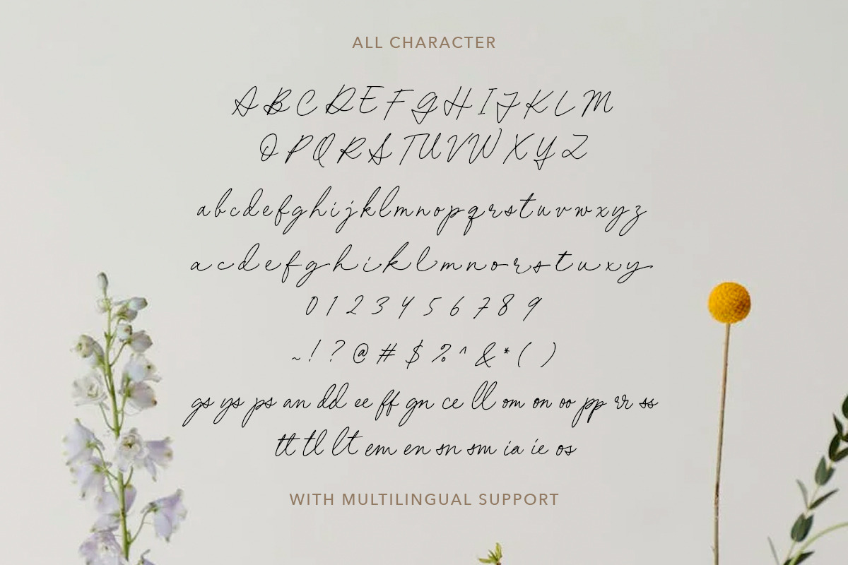 Random Details - Simple Script, a Script Font by Sarid Ezra