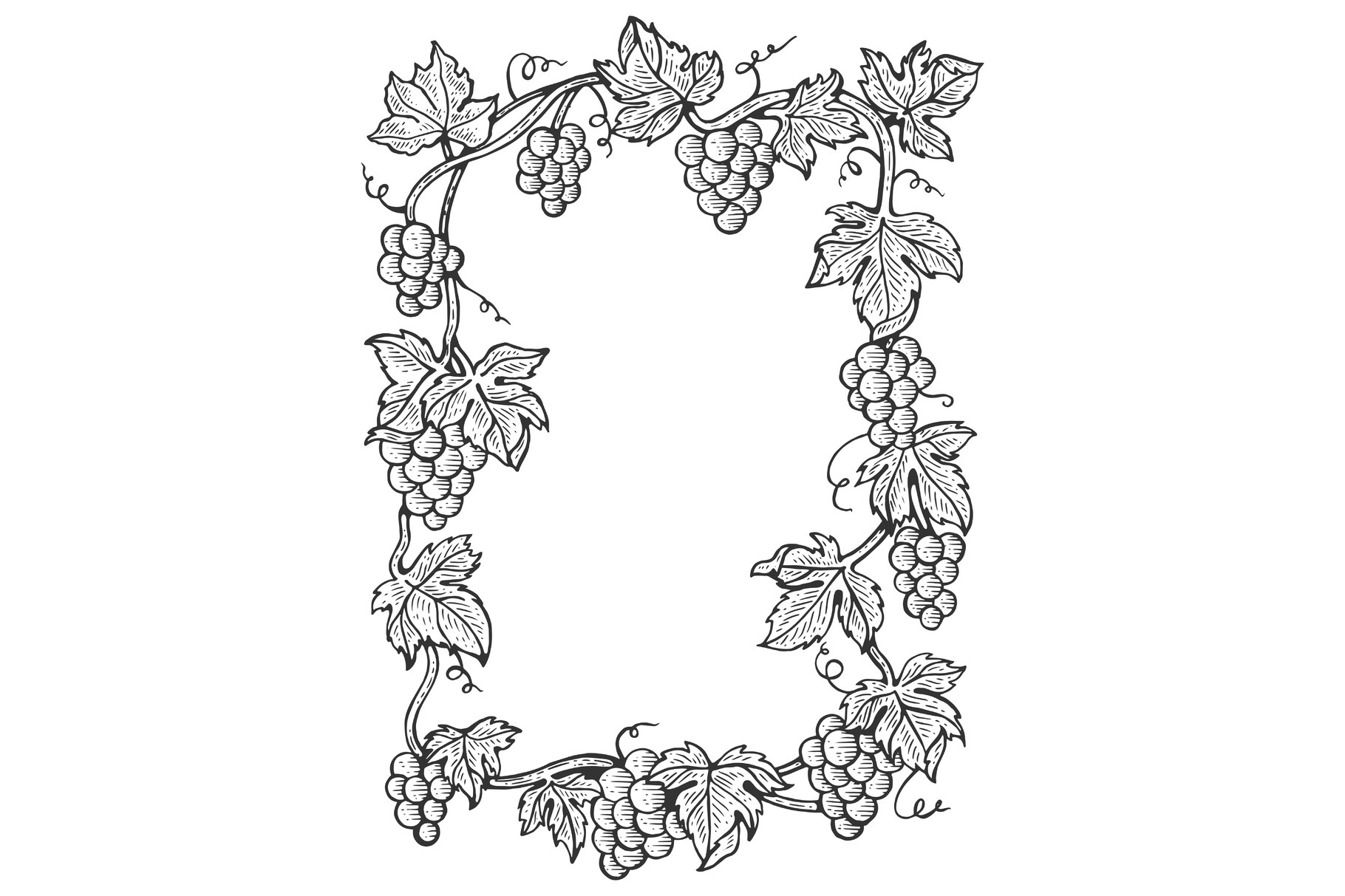 Grapes frame sketch engraving vector, a Food Illustration by AlexArt ...