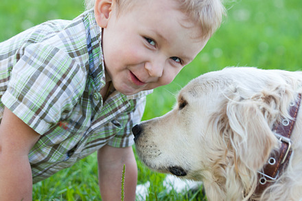 Boy with retriever outdoor featuring animal, boy, and caucasian, a ...