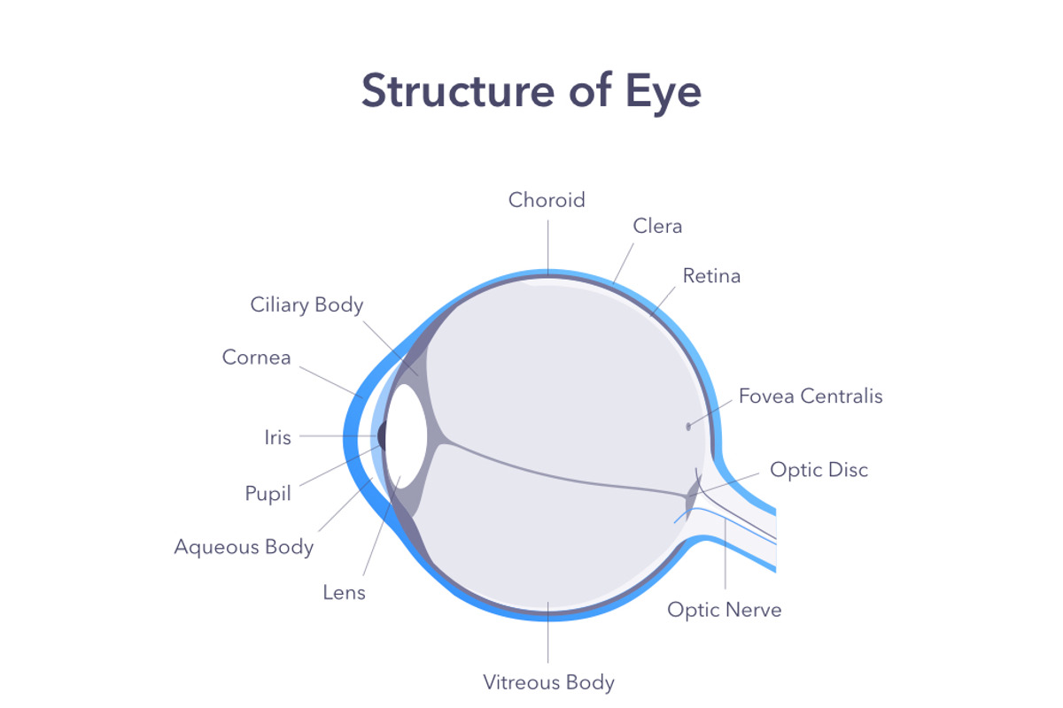 Eye Health PowerPoint Template, a Presentation Template by Jumsoft