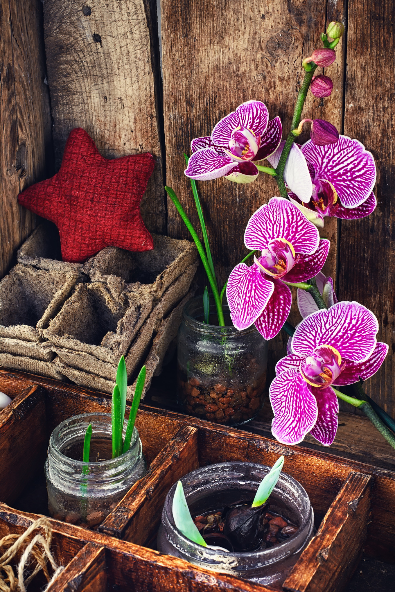 Plant breeding in the spring featuring green, seedling, and plant, a ...