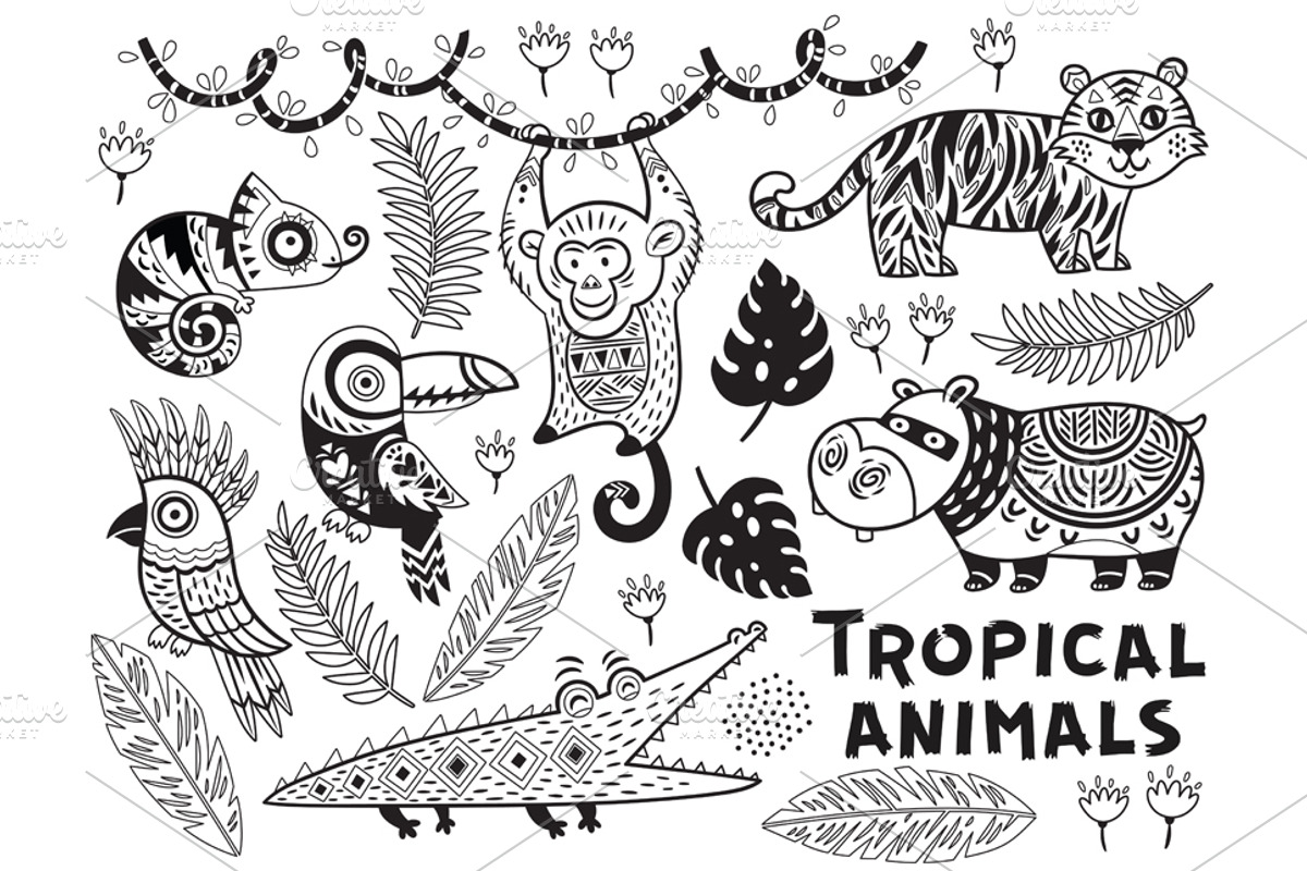 Tropical animals, an Animal Illustration by PenguinHouse