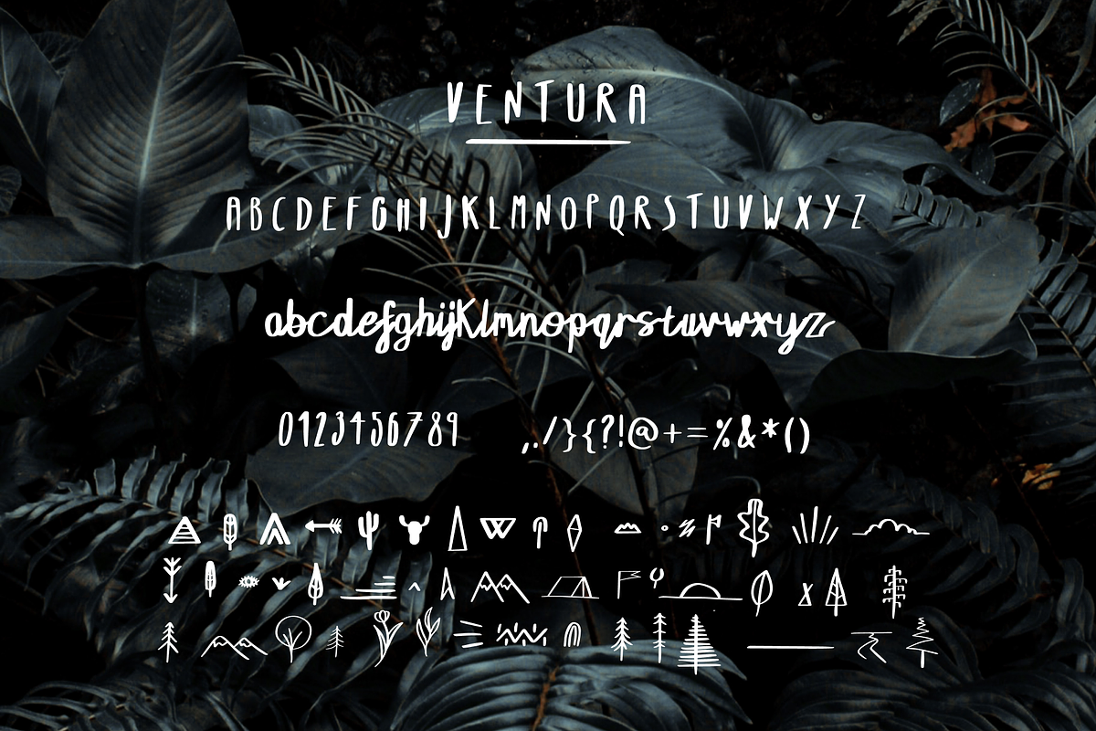 Ventura: Outdoor Adventure Font Duo, a Script Font by Delightful Design