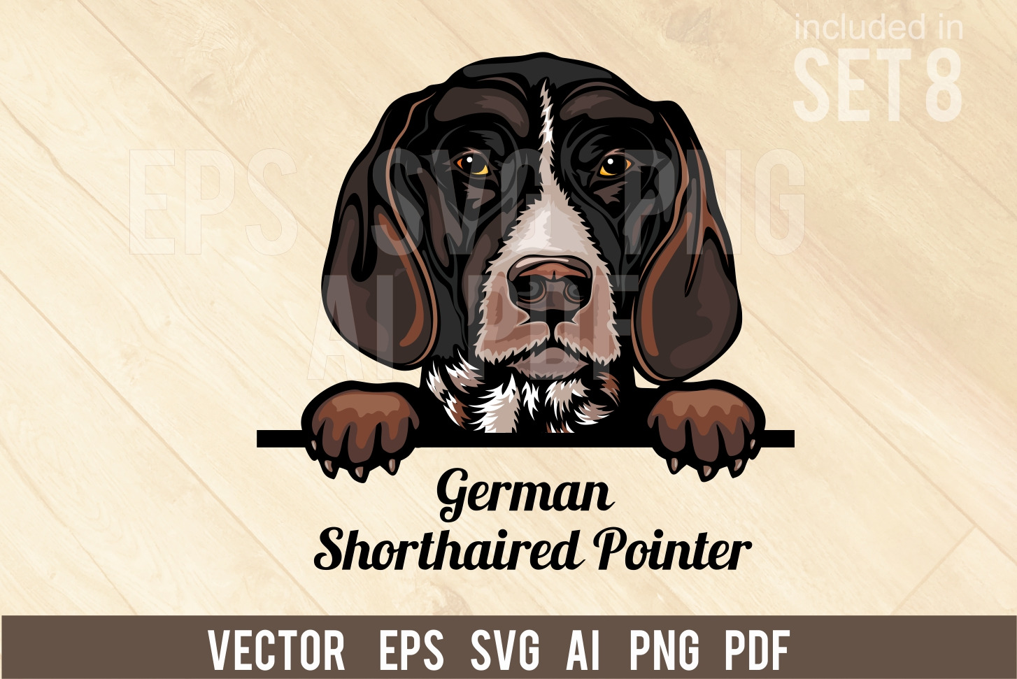 German Shorthaired Pointer Color SVG, an Illustration by Digital-Clipart