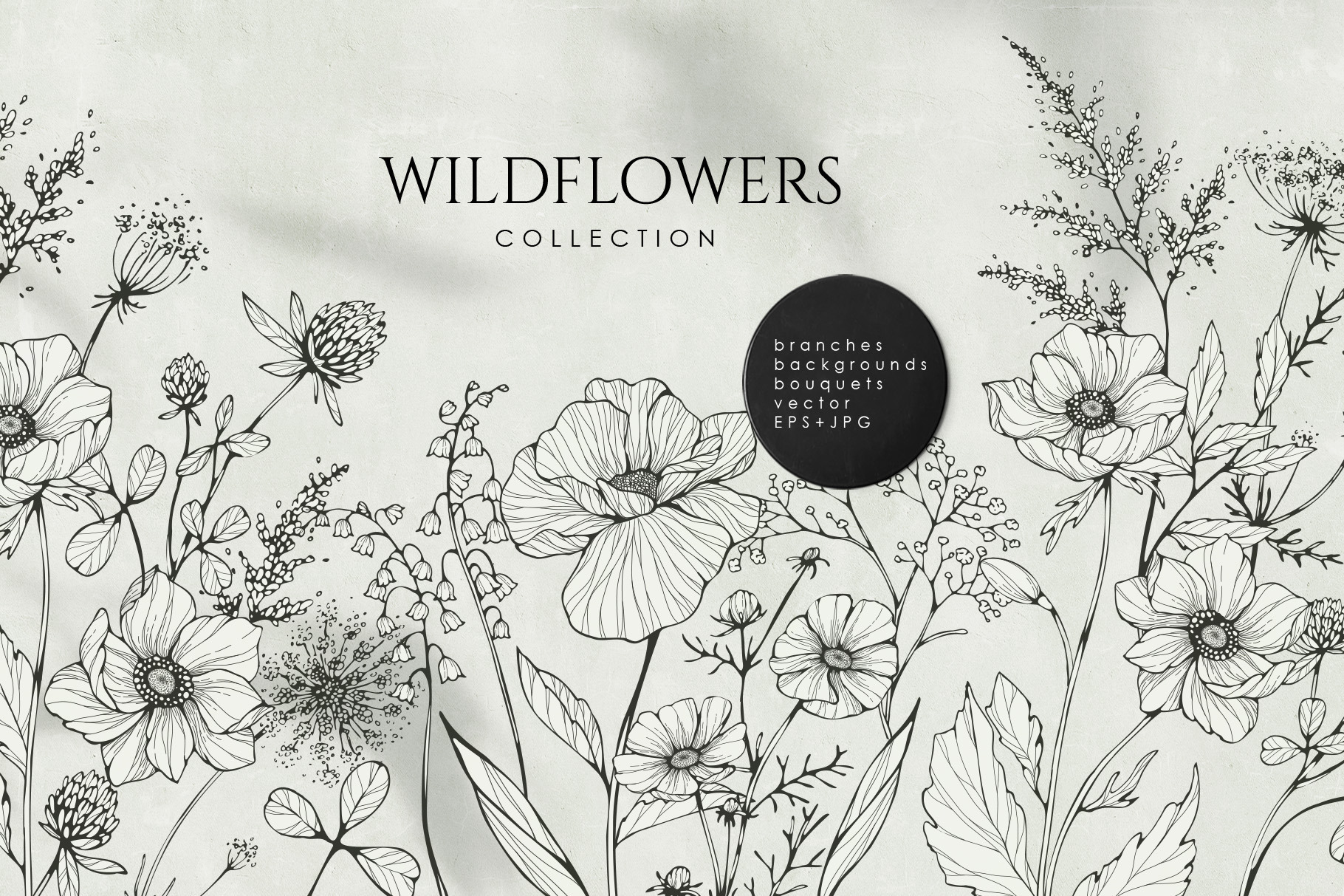 Wildflowers collection, a Decorative Illustration by Merfin
