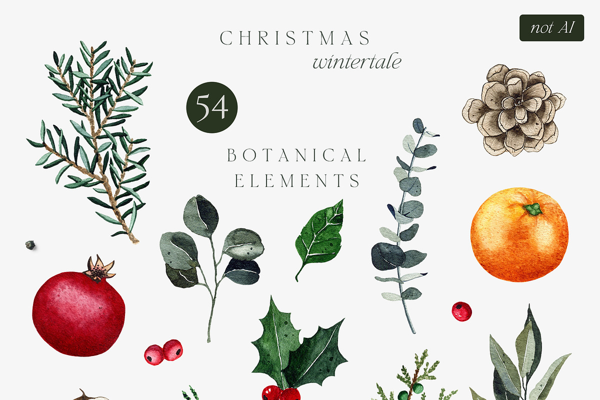 Watercolor Christmas illustration set