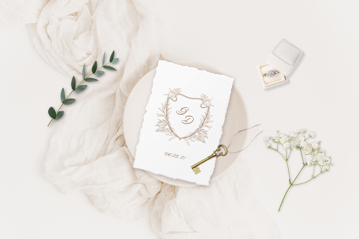 Birth-Flowers. Trendy Plants, Logos, a Seasonal Illustration by Designwork