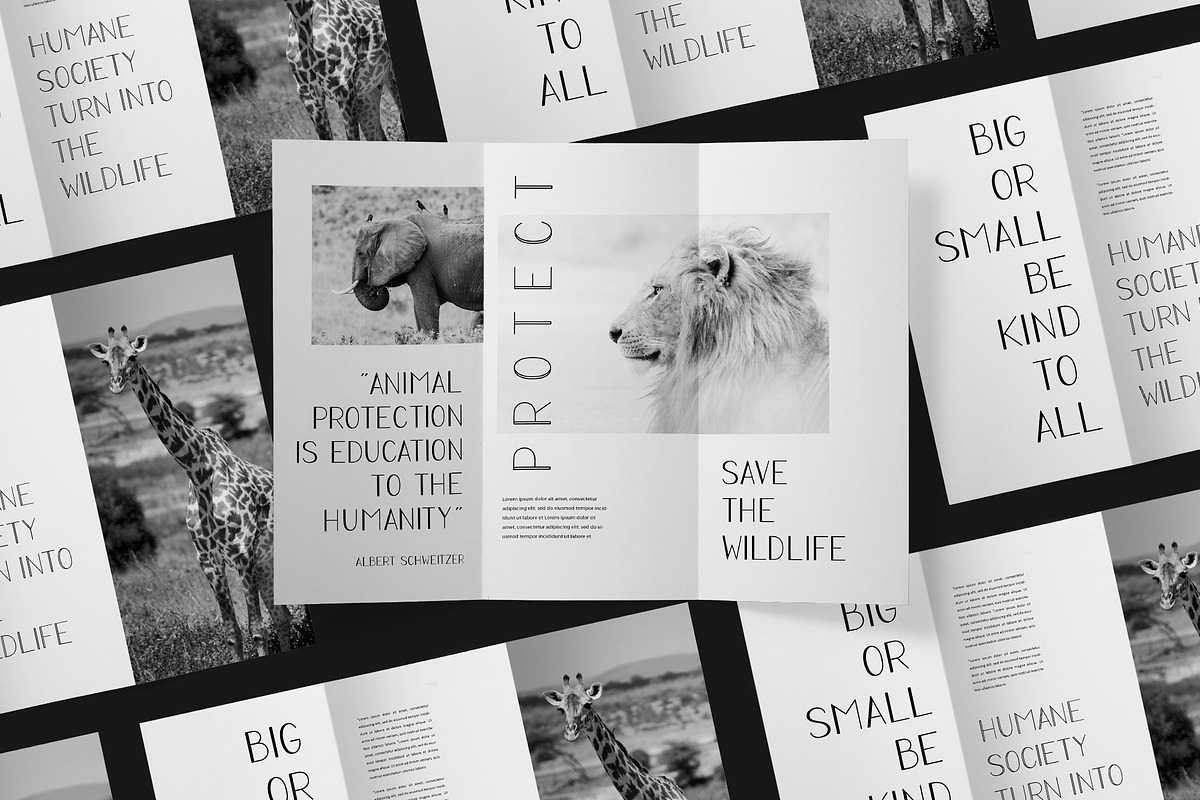 PROTECT Sans Serif Font Family, a Sans Serif Font by Anna Zakharchenko