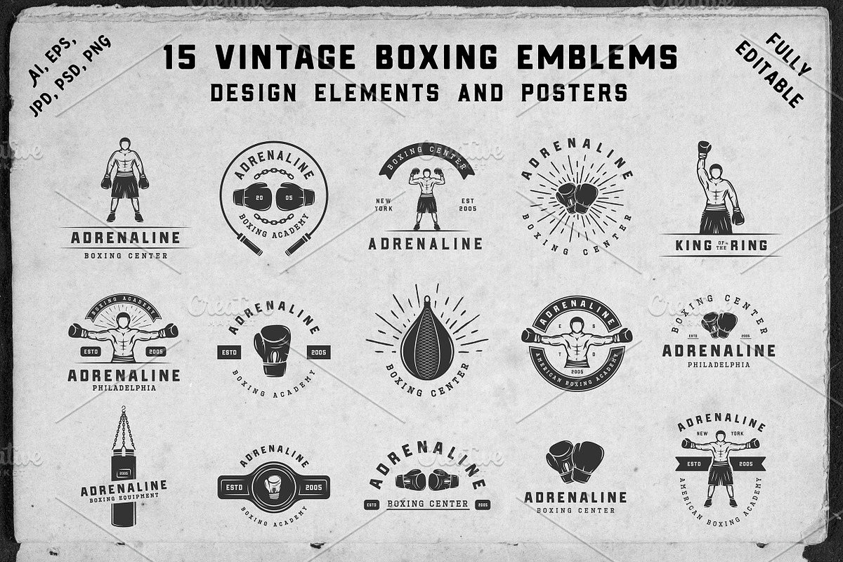 15 vintage boxing emblems, a Branding & Logo Template by AkimD