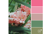 Rose Blush Color Palette | Graphics ~ Creative Market